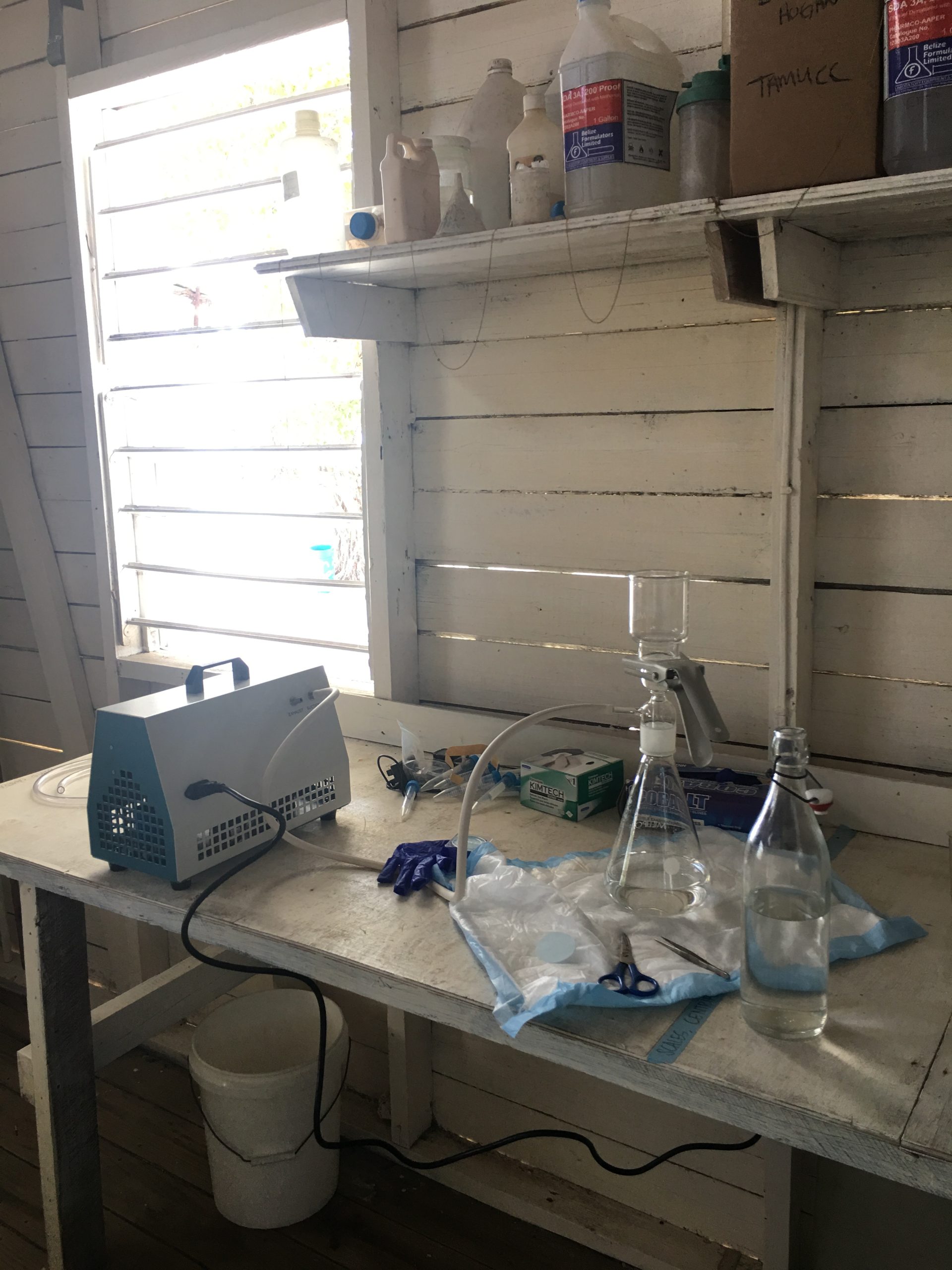 Dolphin Communication and Cognition – Magnasco Lab